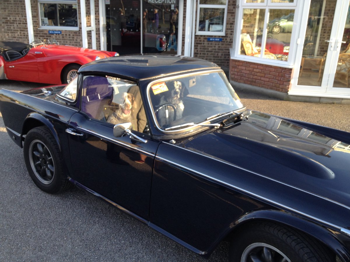 TR4a Rear Wheel Bearing - Page 4 - TR4/4A Forum - TR Forums